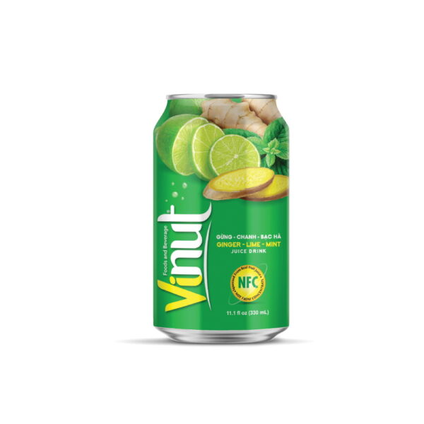 Refreshing Ginger Lime Mint Juice Drink - Tropical Flavor, Healthy Beverage