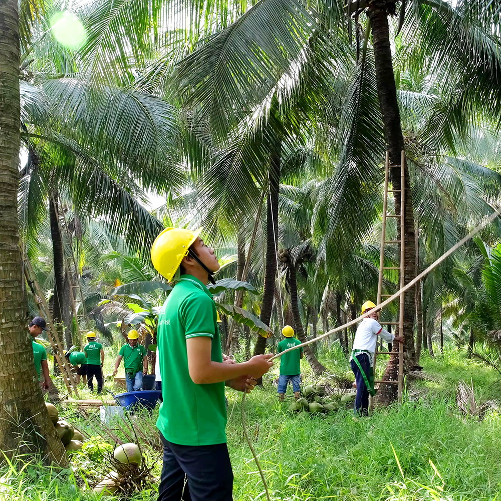 Home - We make Your trust