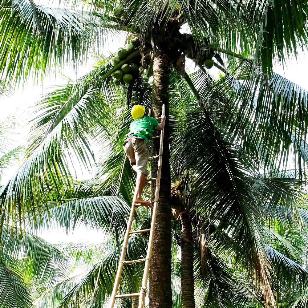 Home - We make Your trust