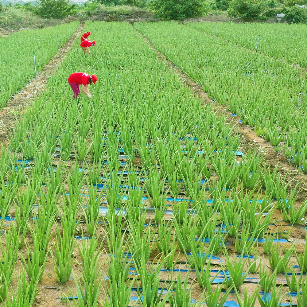 Home - We make Your trust